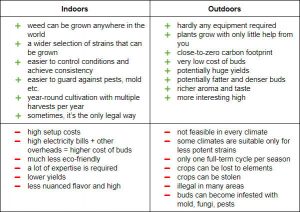 Outdoor Vs Greenhouse Vs Indoor Weed Guide Weed Kb